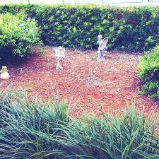 Maniscalco Elementary School - 939 Debuel Rd, Lutz, FL 33549 - Hours ...