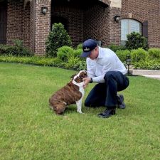 Moxie Pest Control - 8404 Esters Blvd Ste 100, Irving, TX 75063 - Hours ...