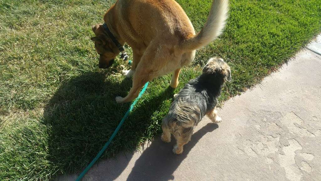 Eagle Ranch Elementary School, 12545 Eagle Ranch Pkwy, Victorville, CA ...