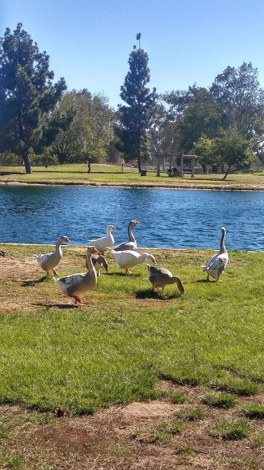 Magic Johnson Park - 905 E El Segundo Blvd, Los Angeles, CA 90059, USA ...