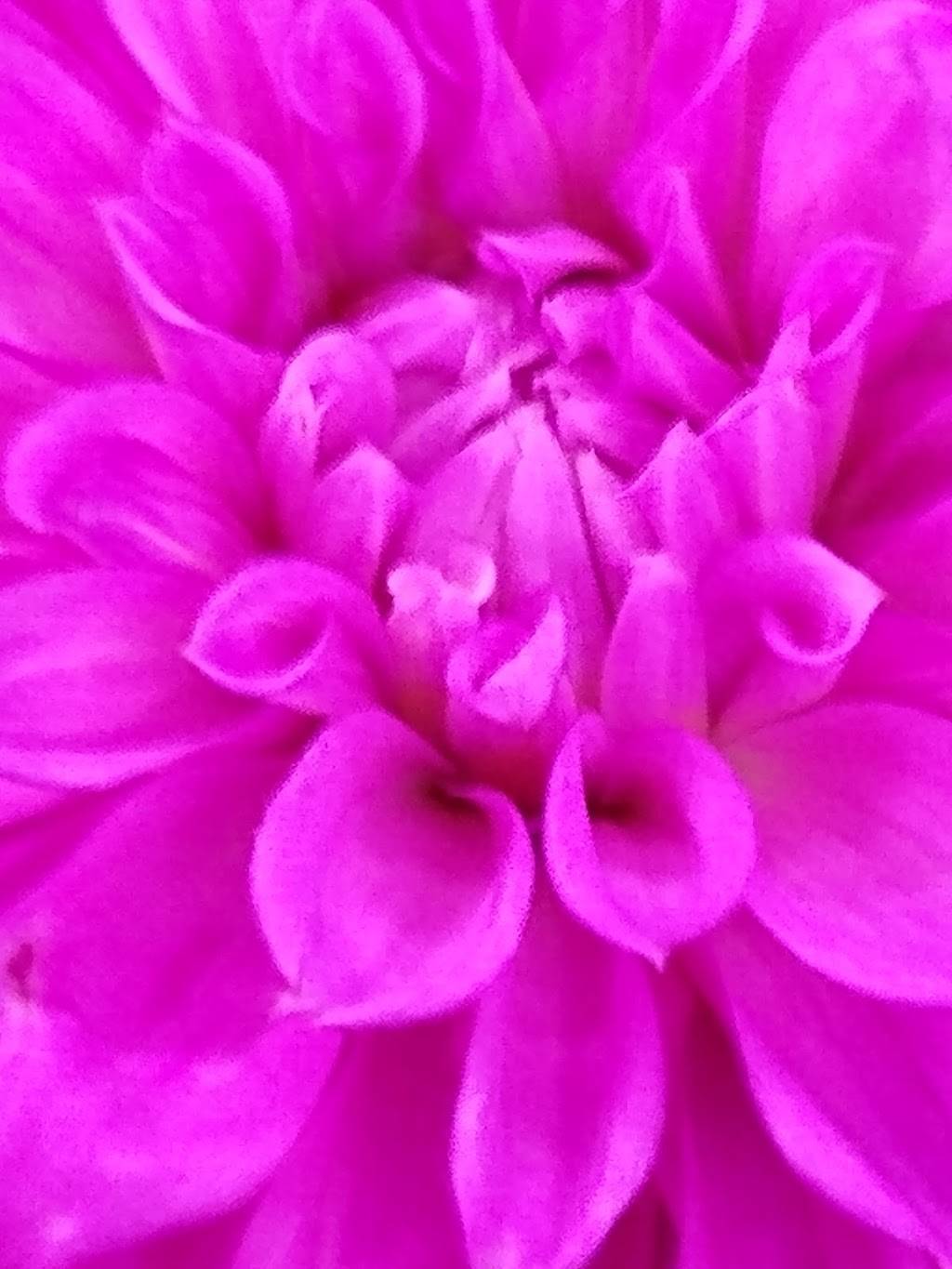 Spring Grove Hospital Center -Maryland Psychiatric Research - 55 Wade ...