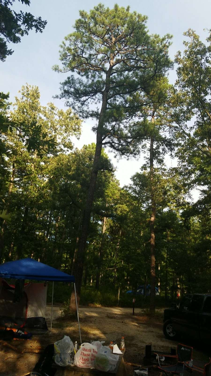 Godfrey Bridge Campground - Godfrey Bridge Rd, Chatsworth, NJ 08019 ...