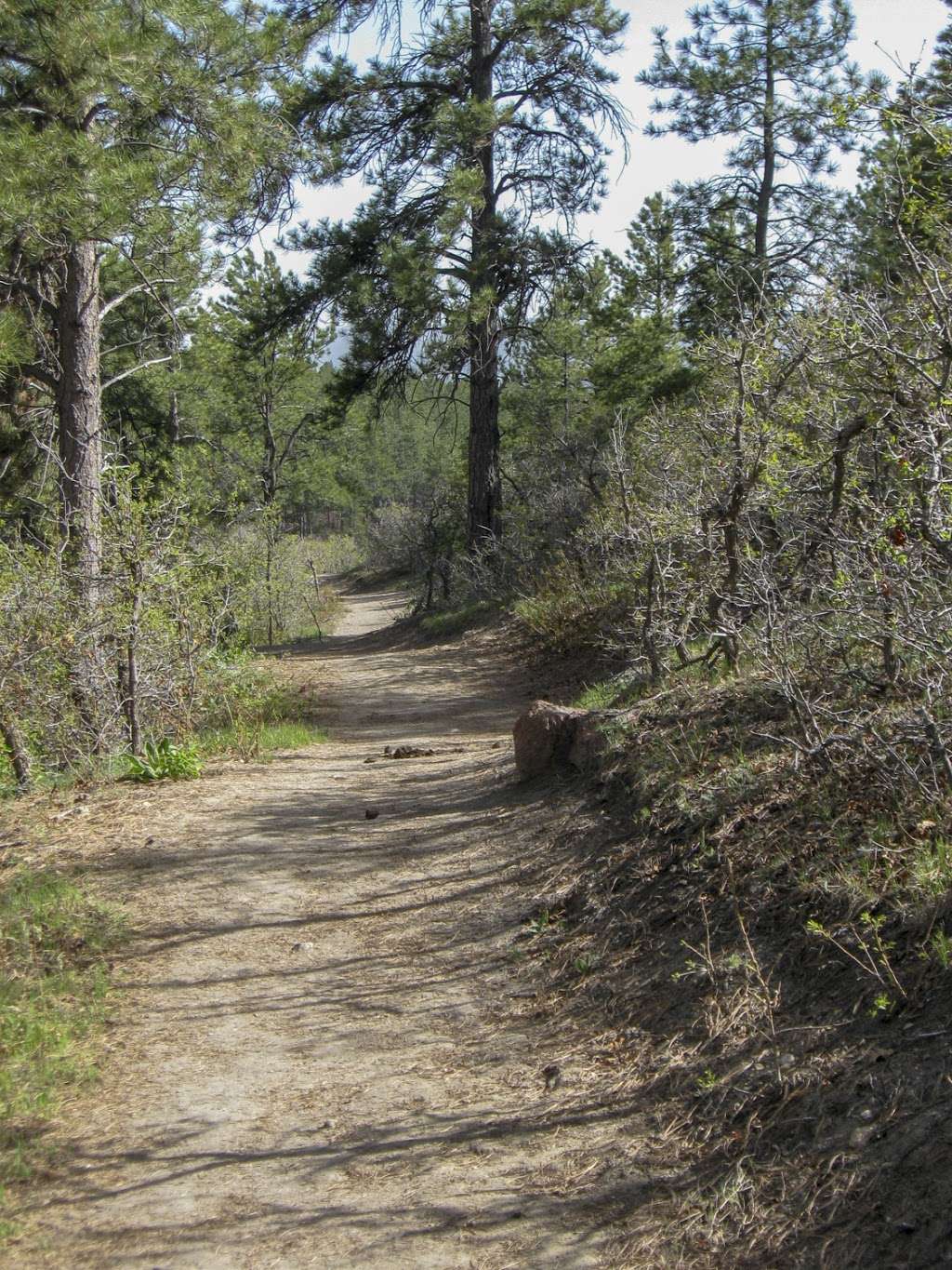 Dawson Butte Ranch Open Space Trail - 1753 Tomah Rd, Castle Rock, CO ...