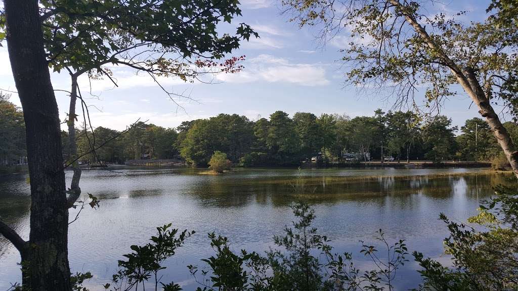 Port Republic Wildlife Management Area - Port Republic, NJ 08241, USA ...