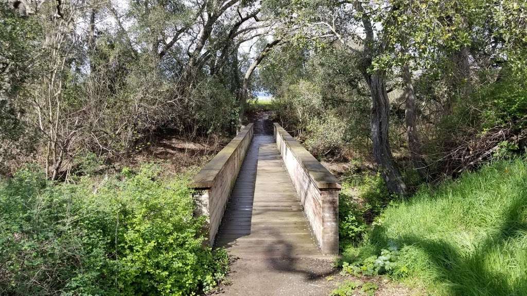 Tassajara Creek Regional Park - Tassajara Rd, Dublin, CA 94568 - Hours ...