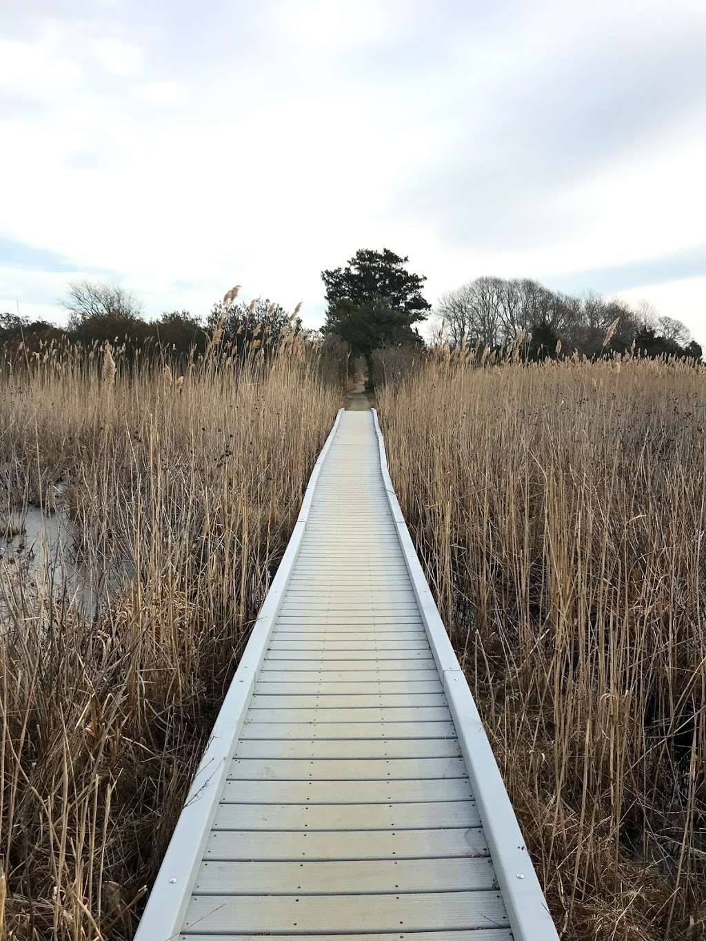Cape May Wetlands State Natural Area, Cape May, NJ 08204, USA