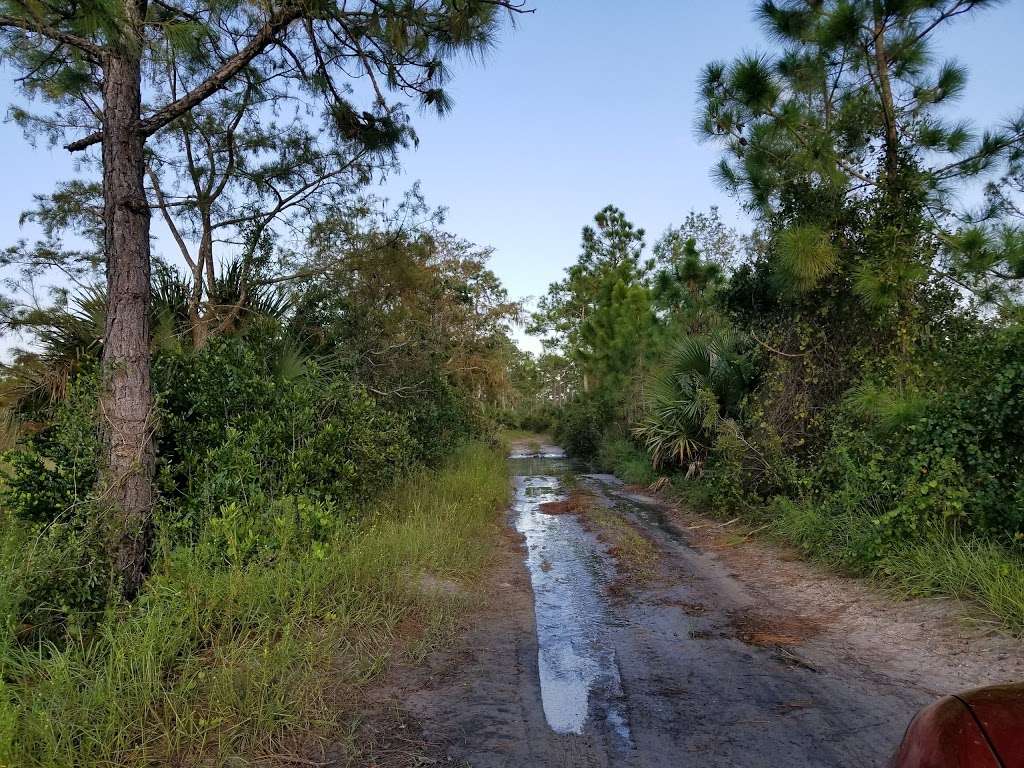 J.W. Corbett Wildlife Management Area - 11835 Seminole Pratt Whitney Rd ...