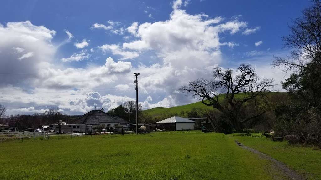 Tassajara Creek Regional Park - Tassajara Rd, Dublin, CA 94568 - Hours ...