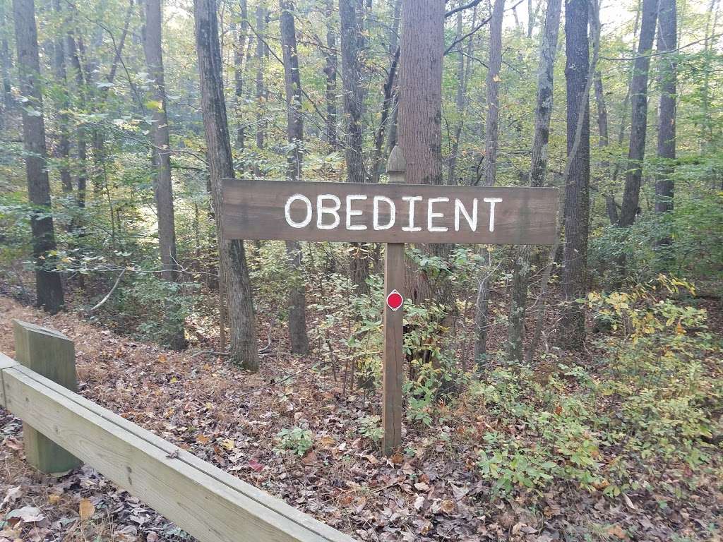 Rodney Scout Reservation, 400 Rodney Scout Rd, North East, MD 21901, USA