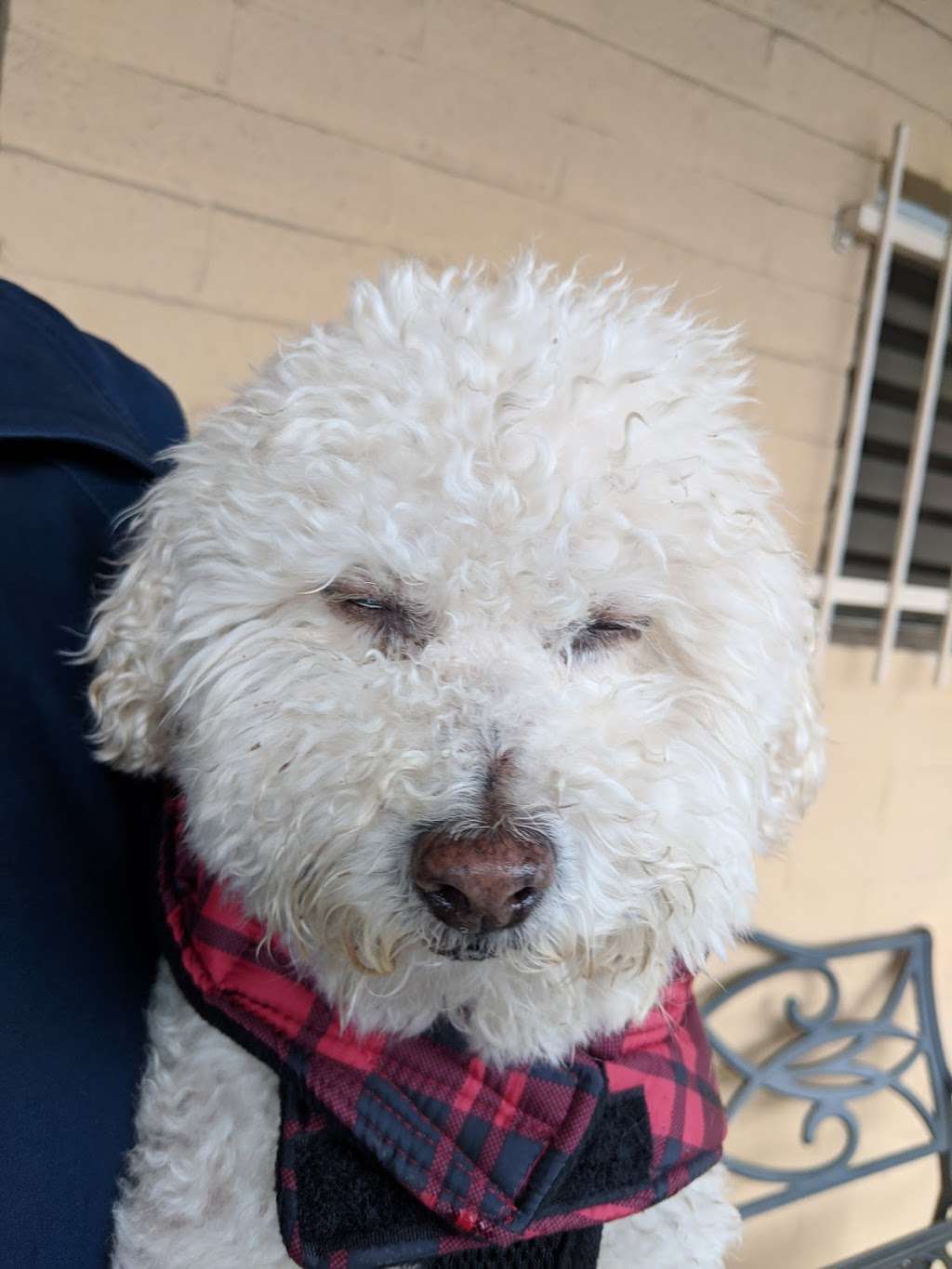 San Gabriel Animal Hospital in 1829 Potrero Grande Dr, Monterey Park ...