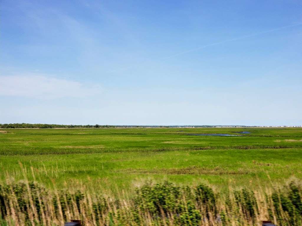 Port Republic Wildlife Management Area - Port Republic, NJ 08241, USA ...