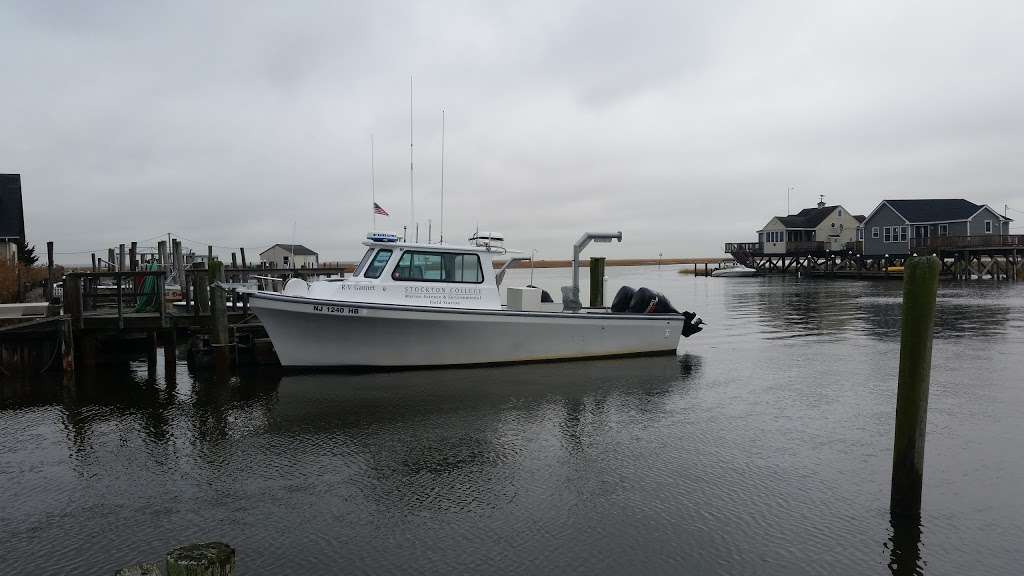 Port Republic Wildlife Management Area - Port Republic, NJ 08241, USA ...