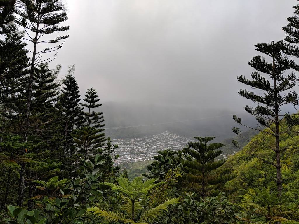 Waʻahila Ridge State Recreation Area in 1600 Ruth Pl, Honolulu, HI ...