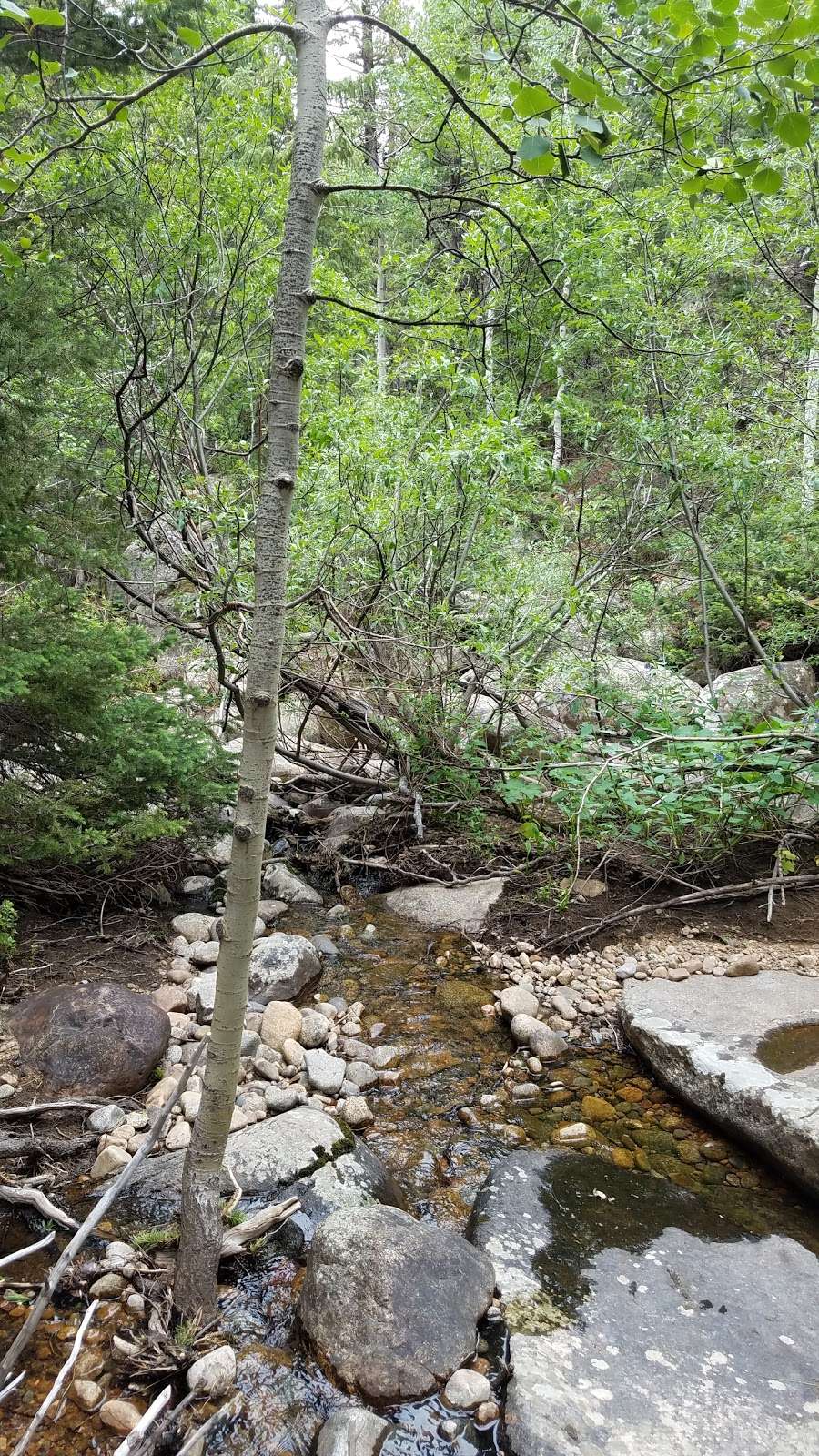 South Saint Vrain Trailhead - 173 Co Rd 96, Ward, CO 80481, USA ...