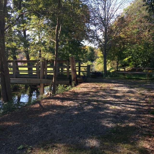 Cavage's Country Farm Market - 1203 Roosevelt Hwy, Waymart, PA 18472 ...