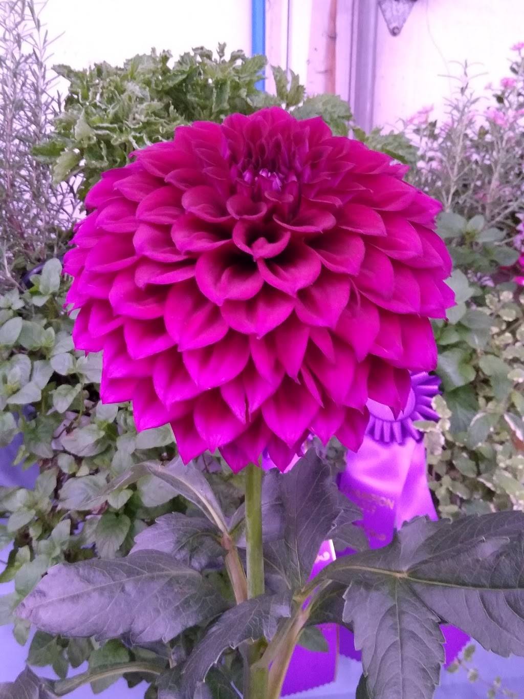 Spring Grove Hospital Center -Maryland Psychiatric Research - 55 Wade ...