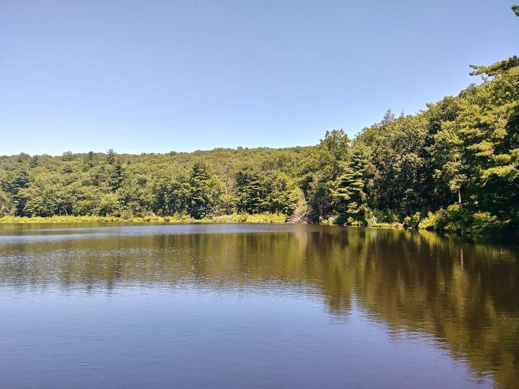 Akenac Park - PA-739, Dingmans Ferry, PA 18328 - Hours, Directions, Reviews