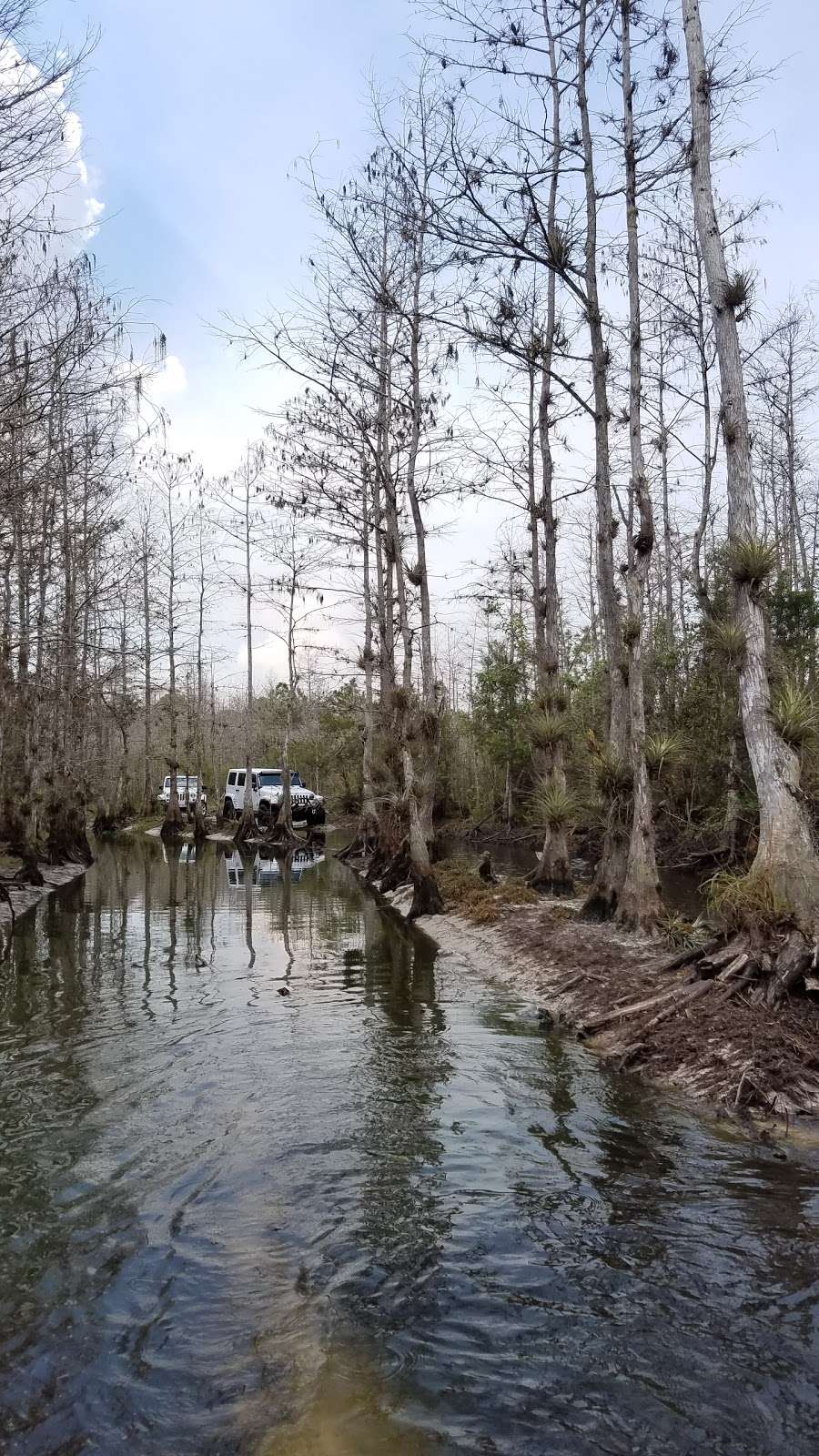 J.W. Corbett Wildlife Management Area - 11835 Seminole Pratt Whitney Rd ...