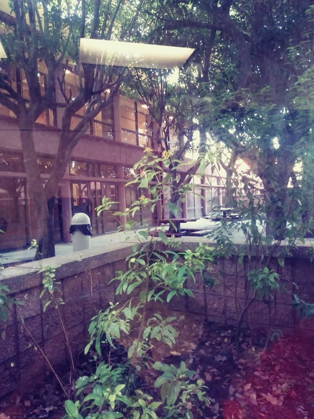 Northside Mental Health Center - 12512 Bruce B Downs Blvd, Tampa, FL ...