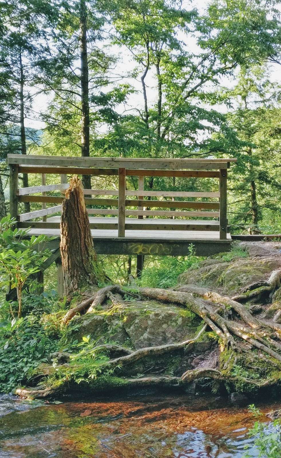 Buttermilk falls parking - Mountain Rd, Layton, NJ 07851 - Hours ...