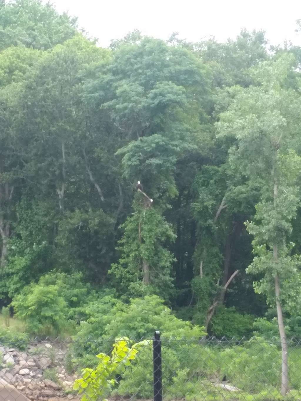 Lincroft Park in 112 Orchard Hill Dr, Lincroft, NJ 07738, USA