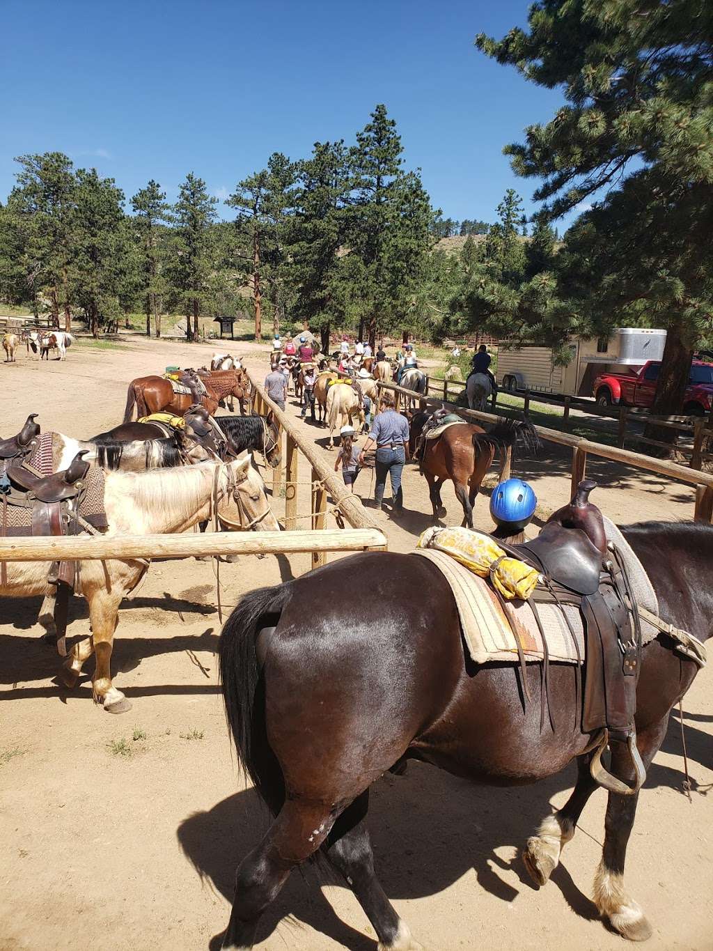 Jackson's Stables Inc - 9500, 2515 Tunnel Rd, Estes Park, CO 80511 ...