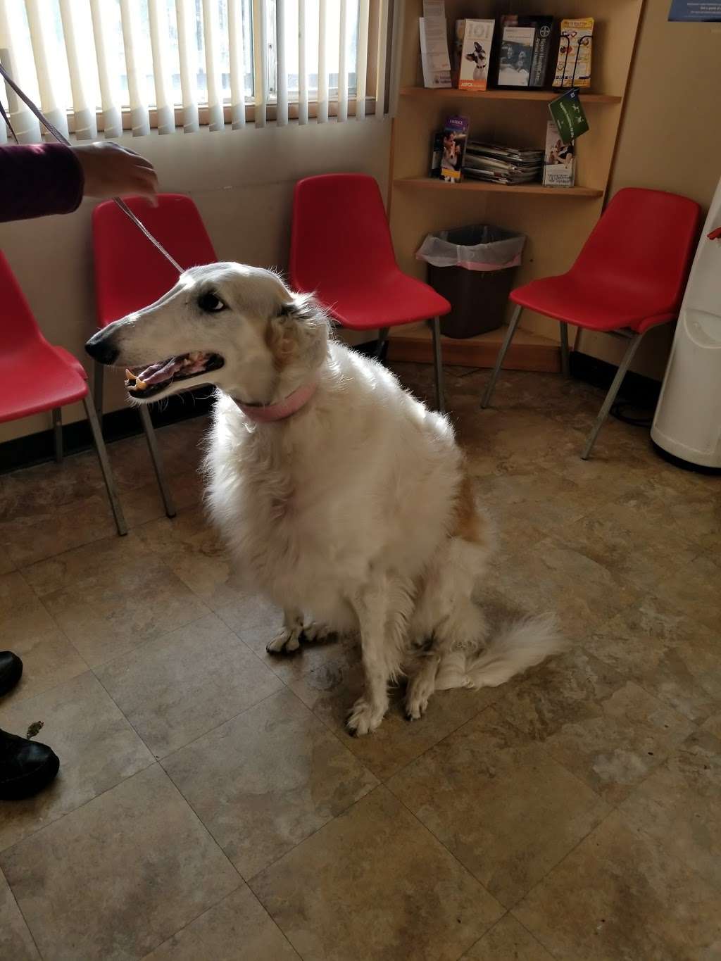 San Gabriel Animal Hospital in 1829 Potrero Grande Dr, Monterey Park ...