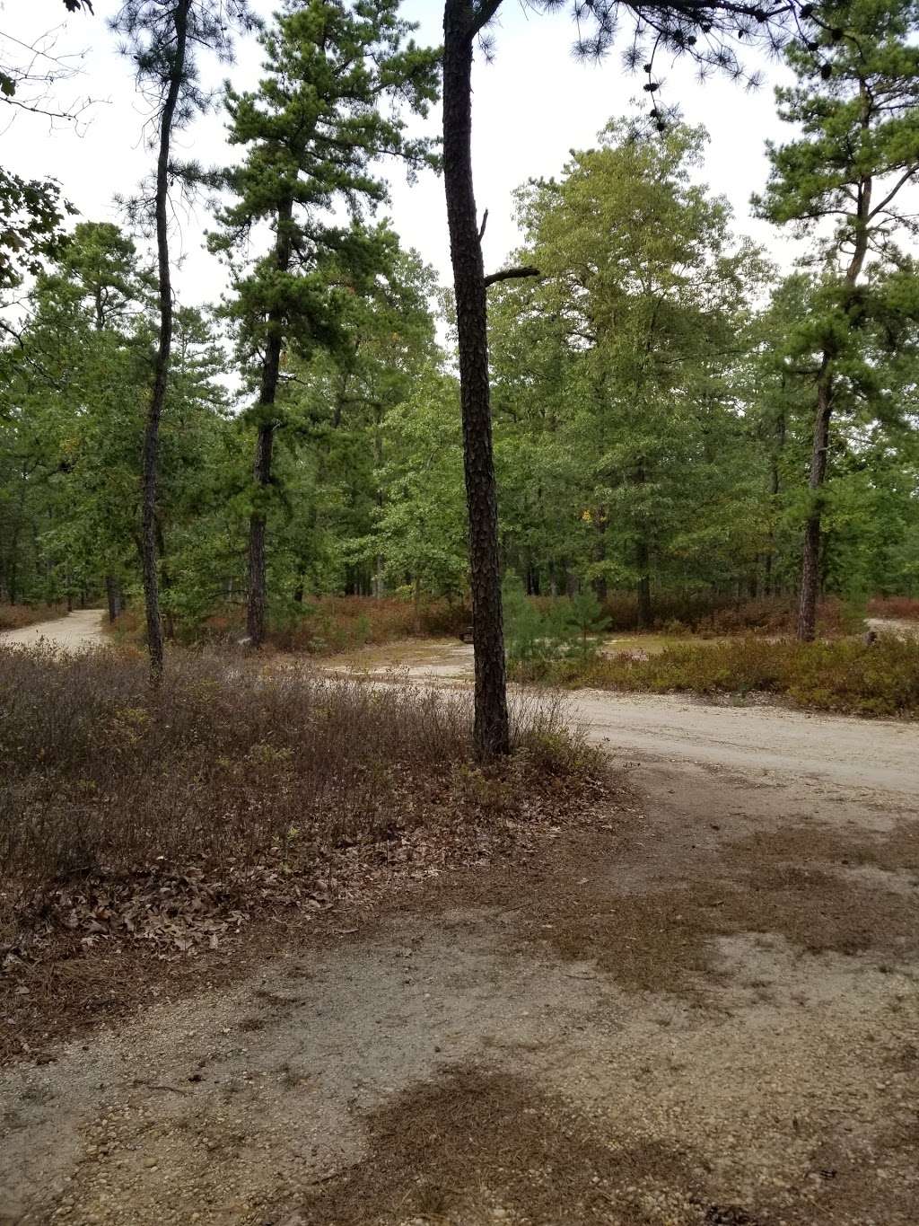 Godfrey Bridge Campground - Godfrey Bridge Rd, Chatsworth, NJ 08019 ...