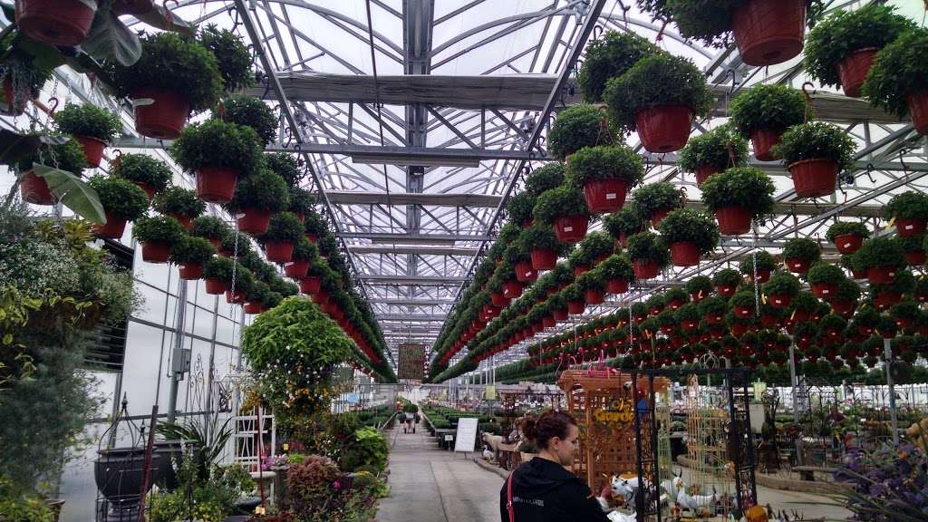 Woldhuis Farms Sunrise Greenhouse, Inc - 10300 9000 N, Grant Park, IL ...