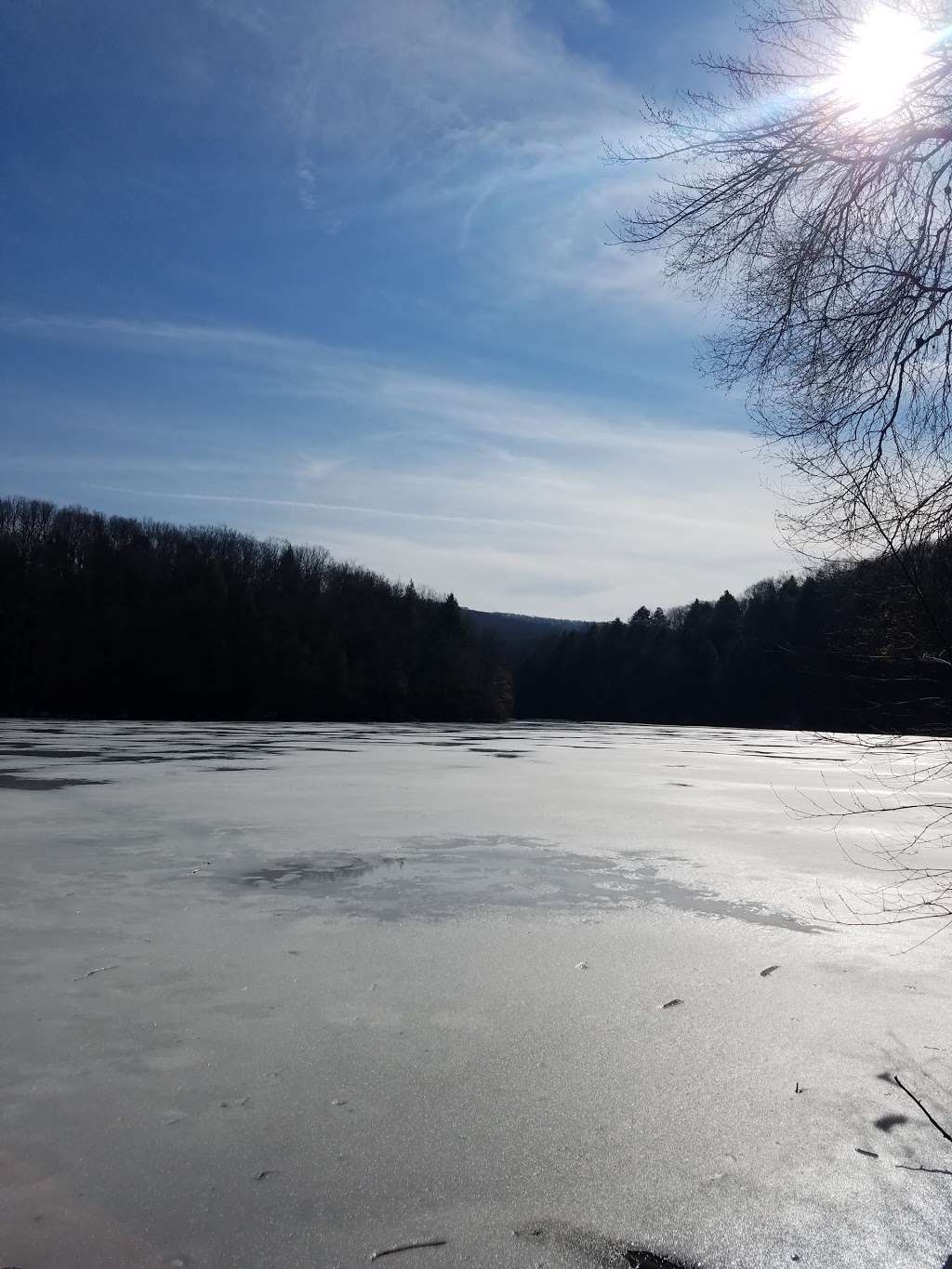 Tuscarora State Park, 687 Tuscarora Park Rd, Barnesville, PA 18214, USA