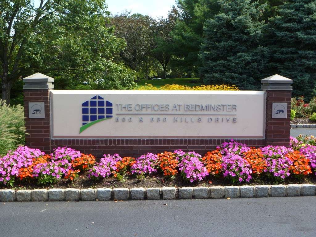 The Offices at Bedminster - 500 &, 550 Hills Dr, Bedminster Township ...