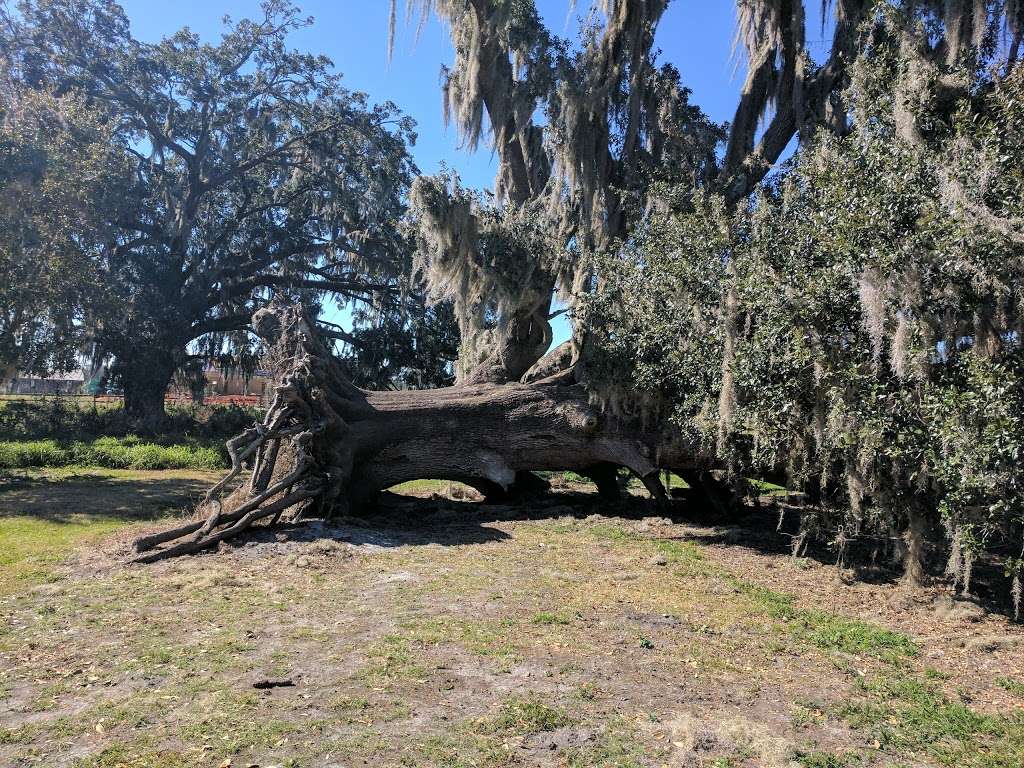 Shingle Creek Regional Park - Babb landing - 2491 Babb Rd, Kissimmee ...