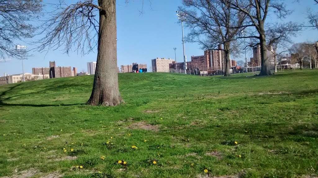 Kaiser Park - 2529 Neptune Ave, Brooklyn, NY 11224 - Hours, Directions ...