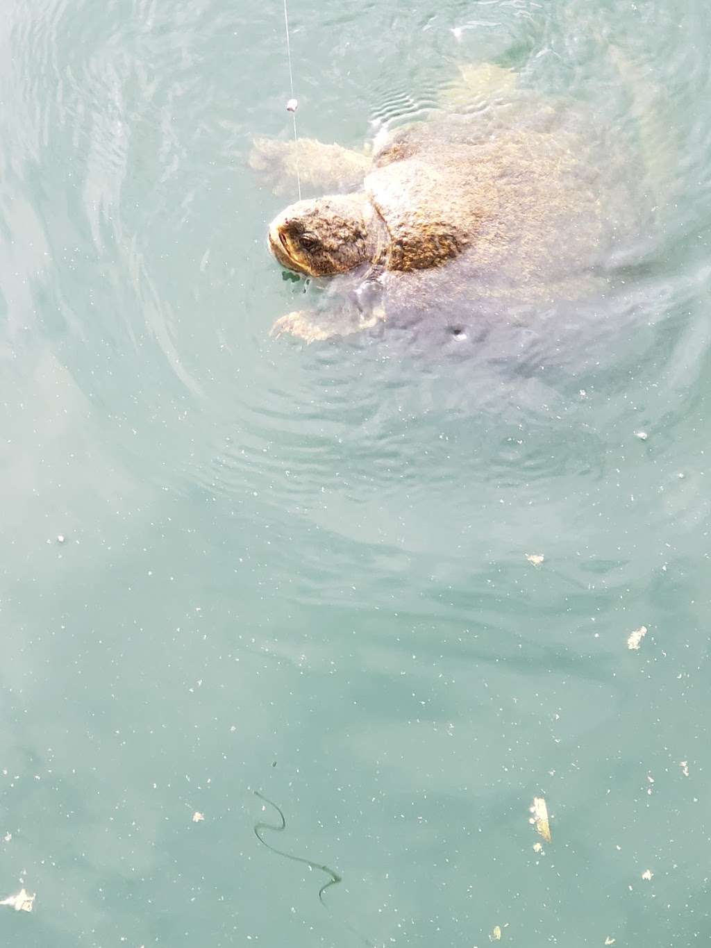 Ike Skelton Park - Whiteman AFB, MO 65305 - Hours, Directions, Reviews