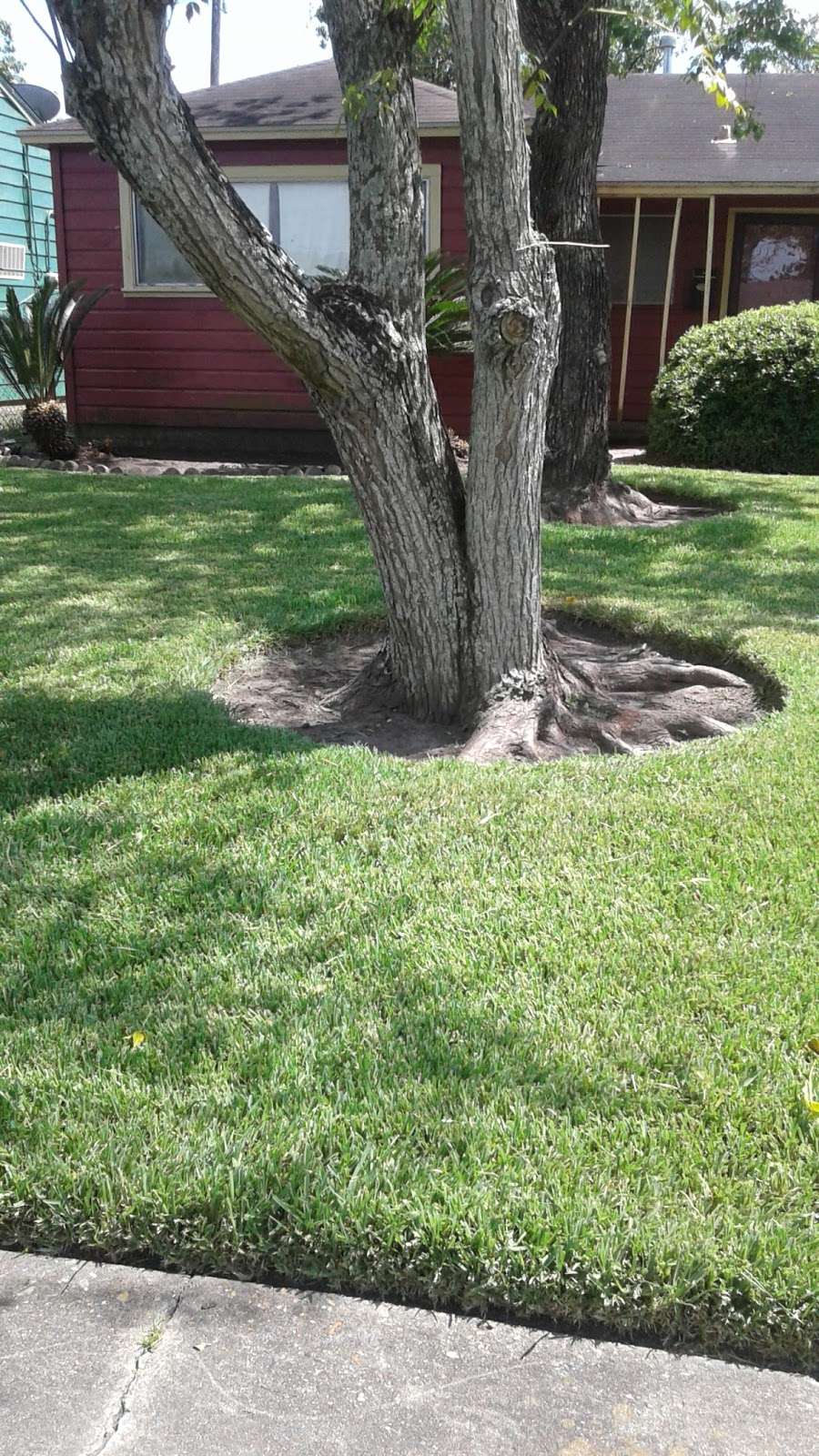 Cloverland Park - 3801 Hickok Ln, Houston, TX 77047 - Hours, Directions ...