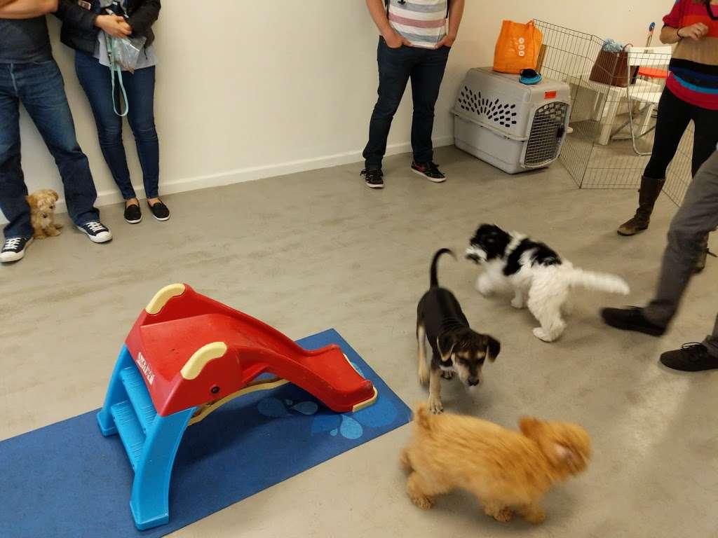 SmartyPup! - 3119 Vicente St, San Francisco, CA 94116 - Hours ...