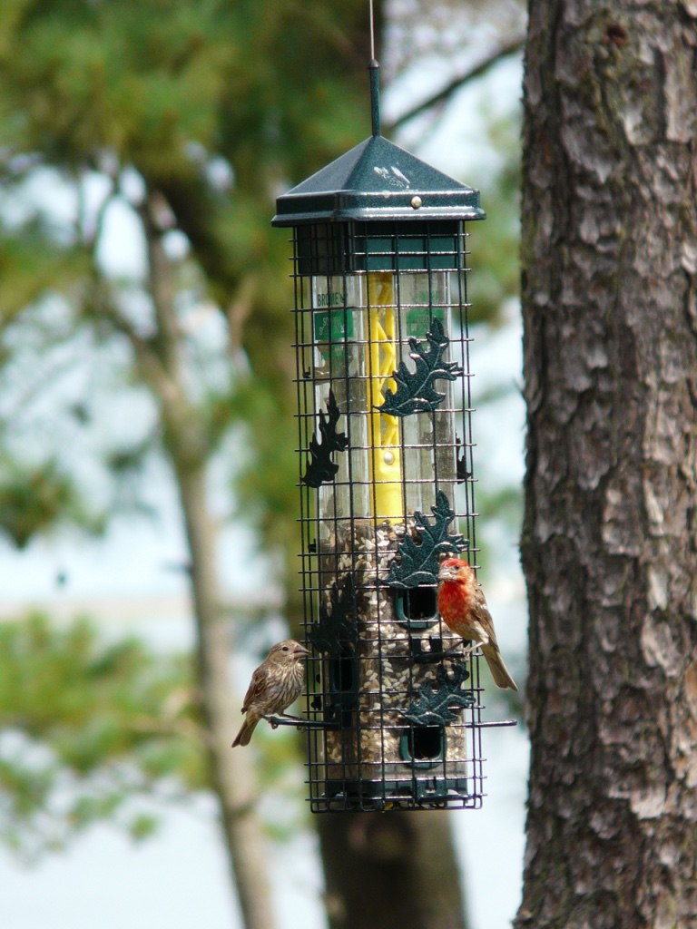 HideAway By The Bay - 142 Wind Mill Point Rd, Hampton, VA 23664 - Hours ...