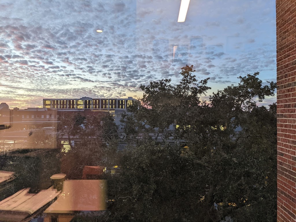 Howard-Tilton Memorial Library - 7001 Freret St, New Orleans, LA 70118 ...