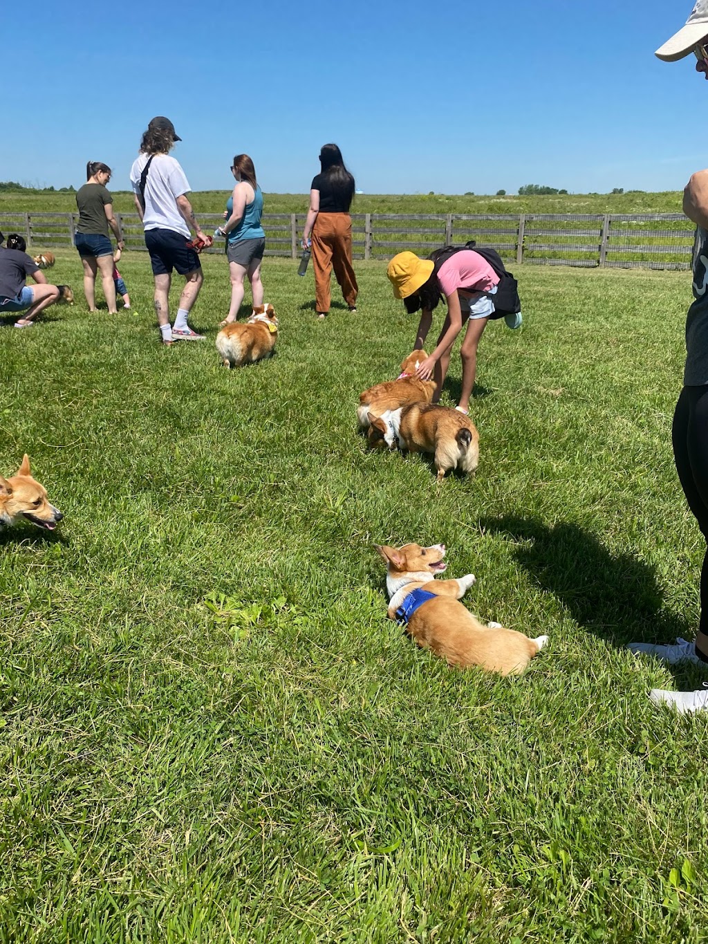 Wiggly Field Dog Park - 7850 VOA Park Dr, West Chester Township, OH ...