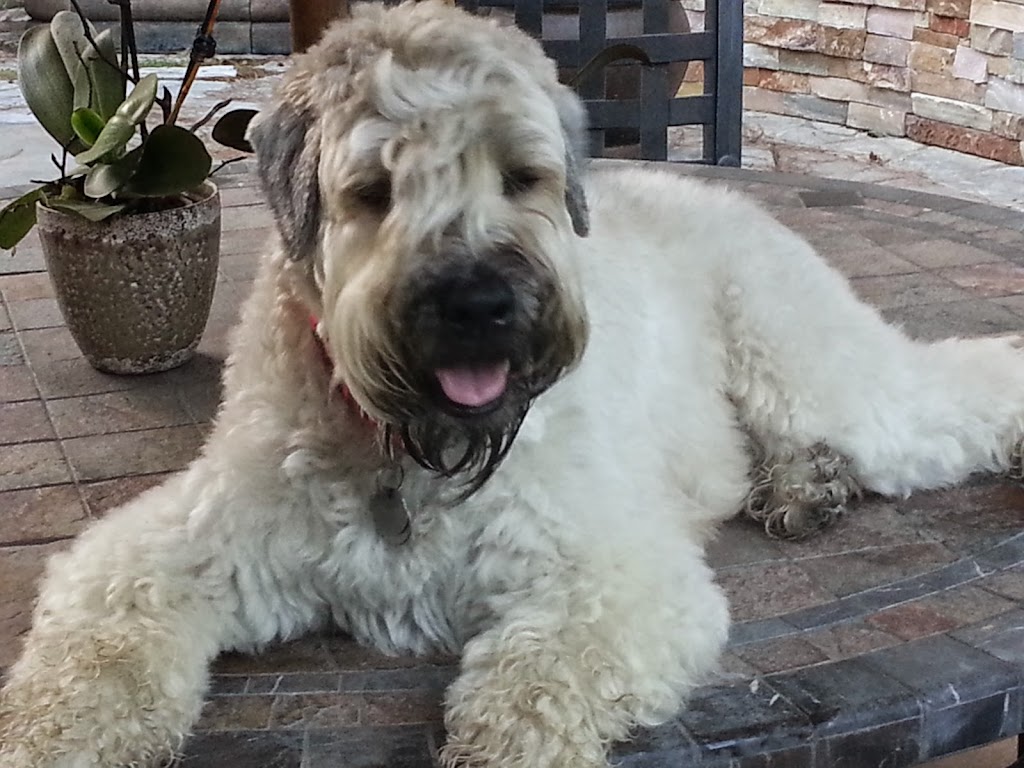 Huggins Dreckman Insurance, 5152 Katella Ave #206, Los Alamitos, CA 90720