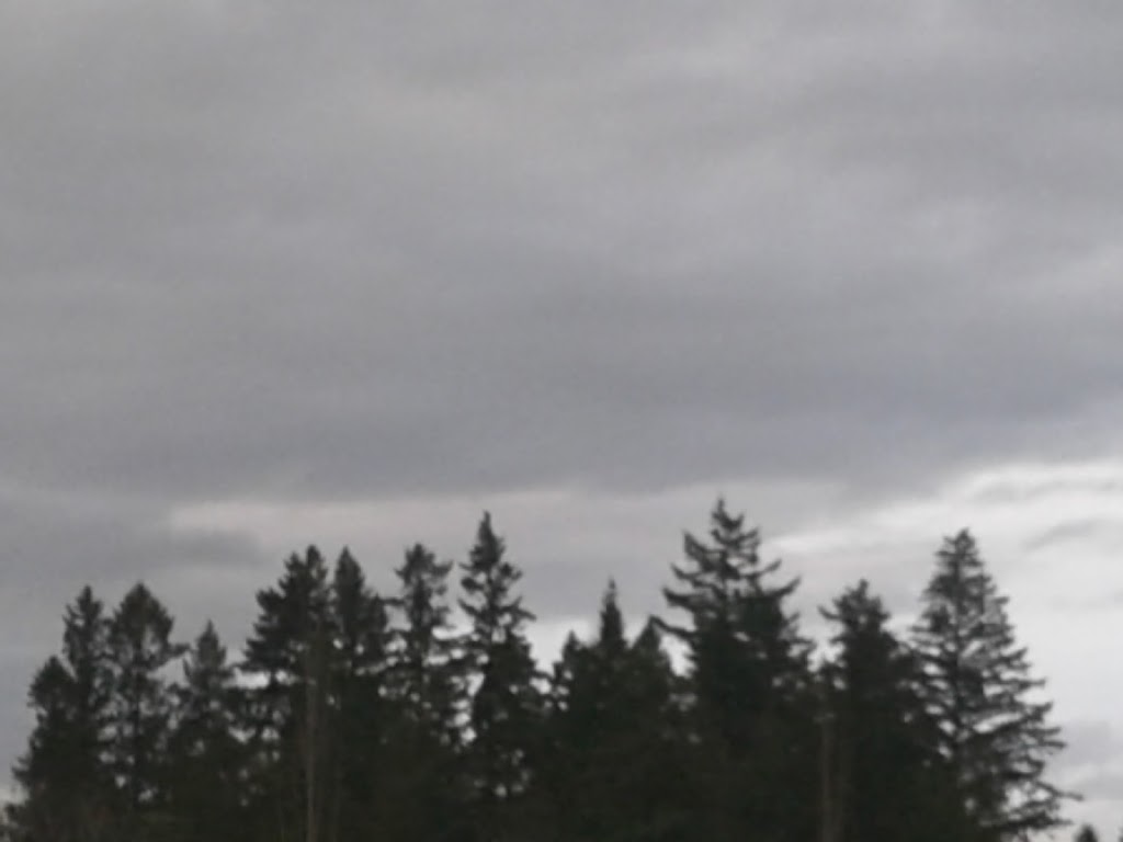 Christina Grucella, MD - 200 S Hazel Dell Way #202, Canby, OR 97013 ...