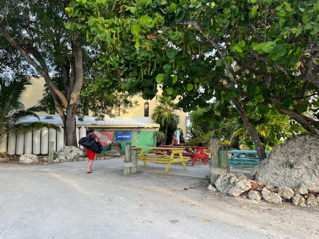 Rainbow Reef Dive Center Caribbean Dr (Boats) in 522 Caribbean Dr, Key ...