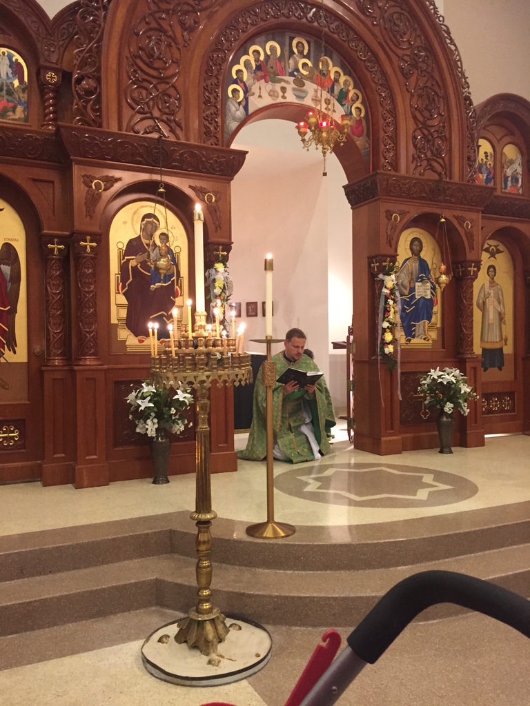 Old Holy Trinity Serbian Orthodox Church - 420 N Raccoon Rd, Youngstown, OH 44515 - Hours ...