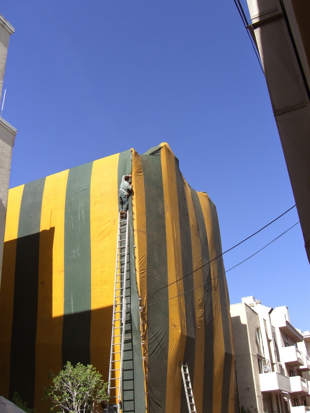 Tycecc Termite Control Co. - 835 S Norton Ave #7, Los Angeles, CA 90005 ...