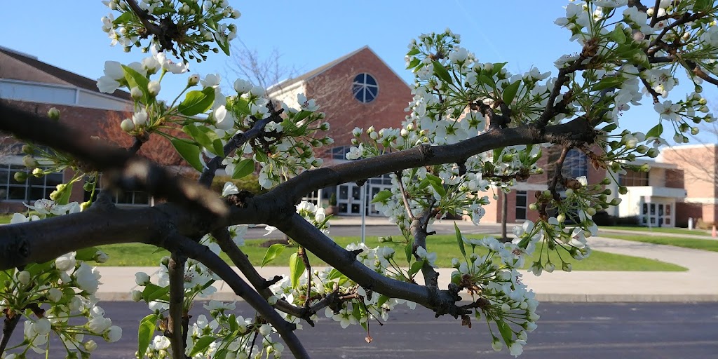 Eastern Hills Church - 8445 Greiner Rd, Williamsville, NY 14221 - Hours ...