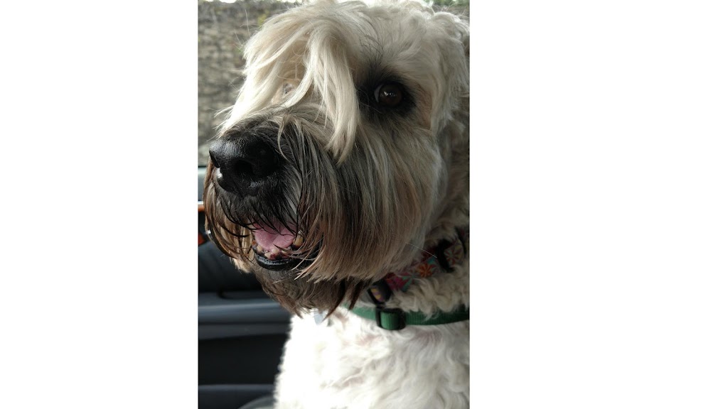 Huggins Dreckman Insurance, 5152 Katella Ave #206, Los Alamitos, CA 90720