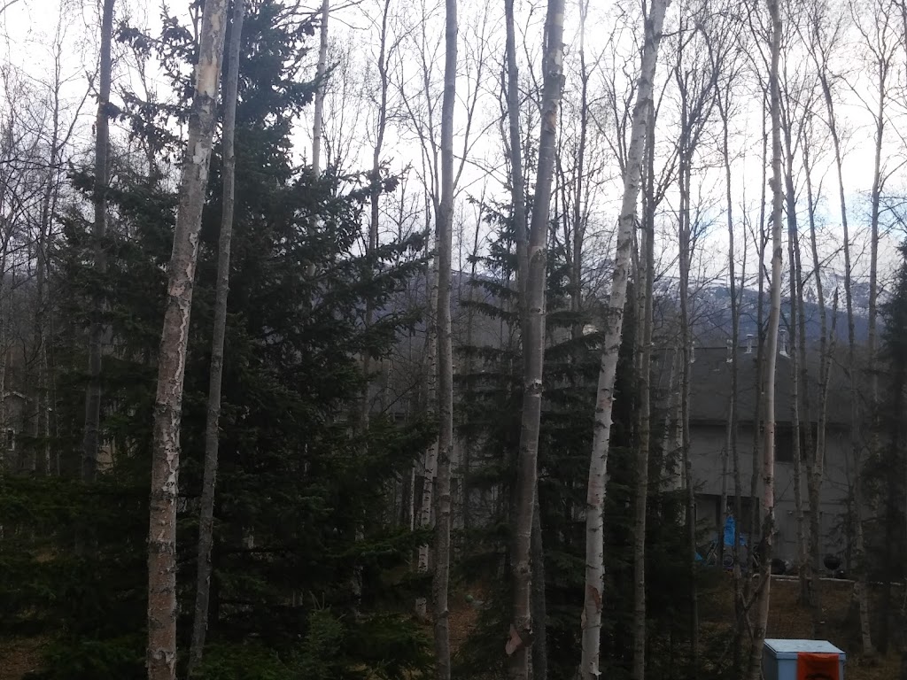 Chanshtnu-Muldoon Park - 8231 Debarr Road, Anchorage, AK 99504