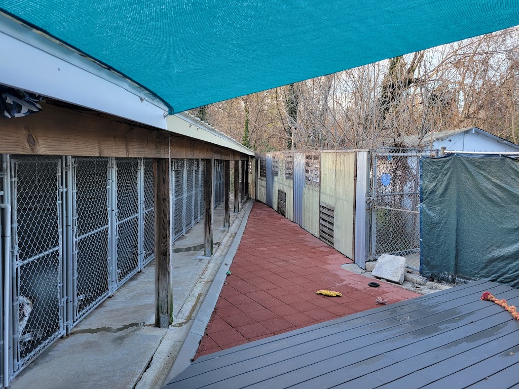 Noah's Ark Kennel & Cattery - 1217 E Franklin St #3, Chapel Hill, NC ...