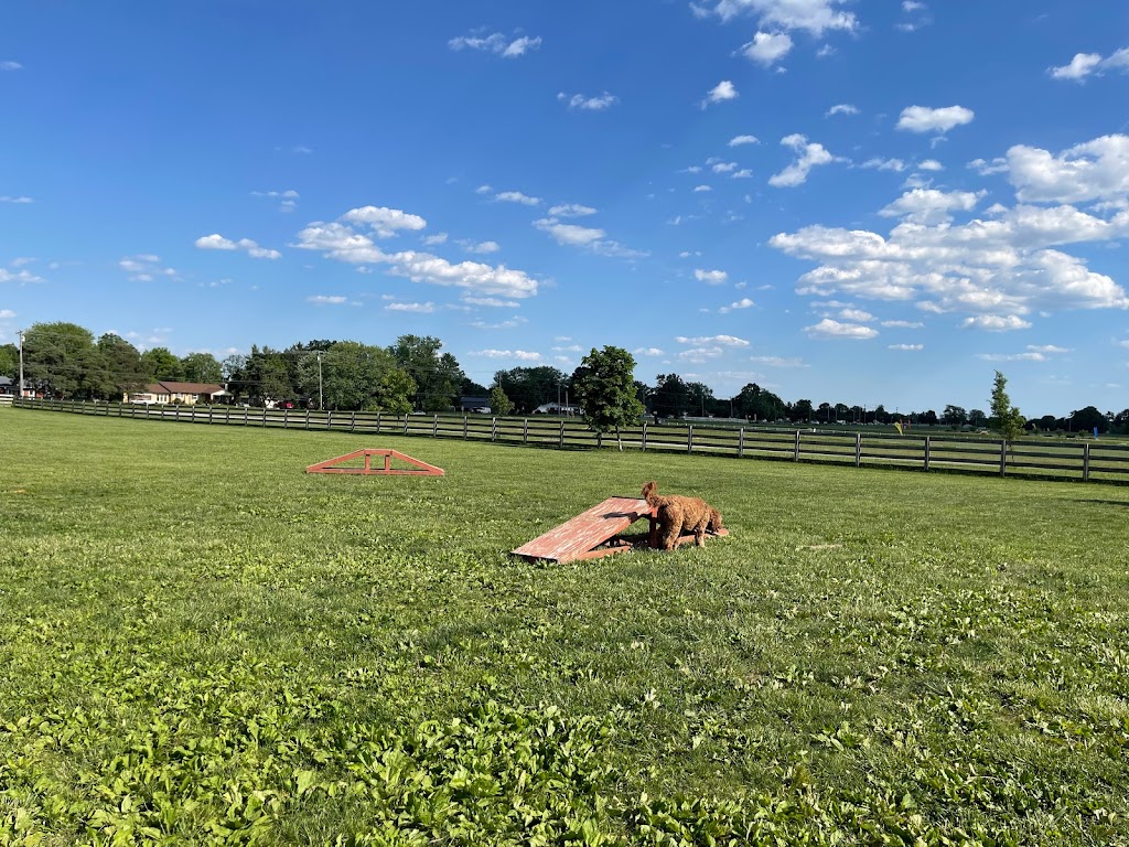 Wiggly Field Dog Park - 7850 VOA Park Dr, West Chester Township, OH ...