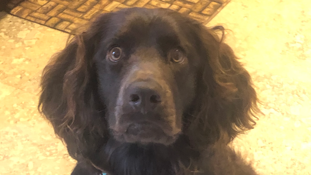 Joseph W. Stadnicar, Attorney at Law, Hammond Stier & Stadnicar - 3836 ...